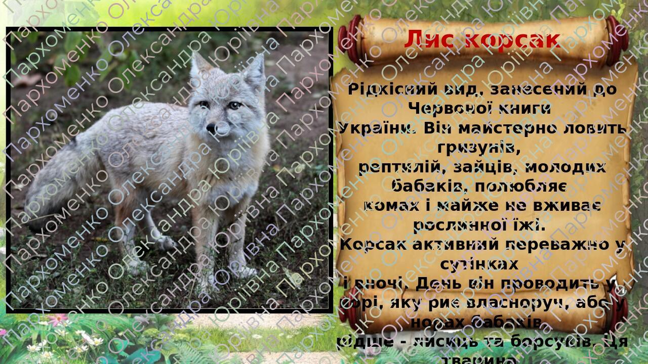 Презентація "Тварини України" Частина І | Презентація. Природознавство