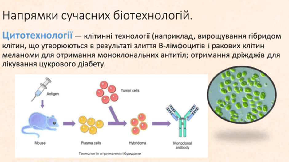 Сучасна біотехнологія | Урок на 3 завдання. Біологія