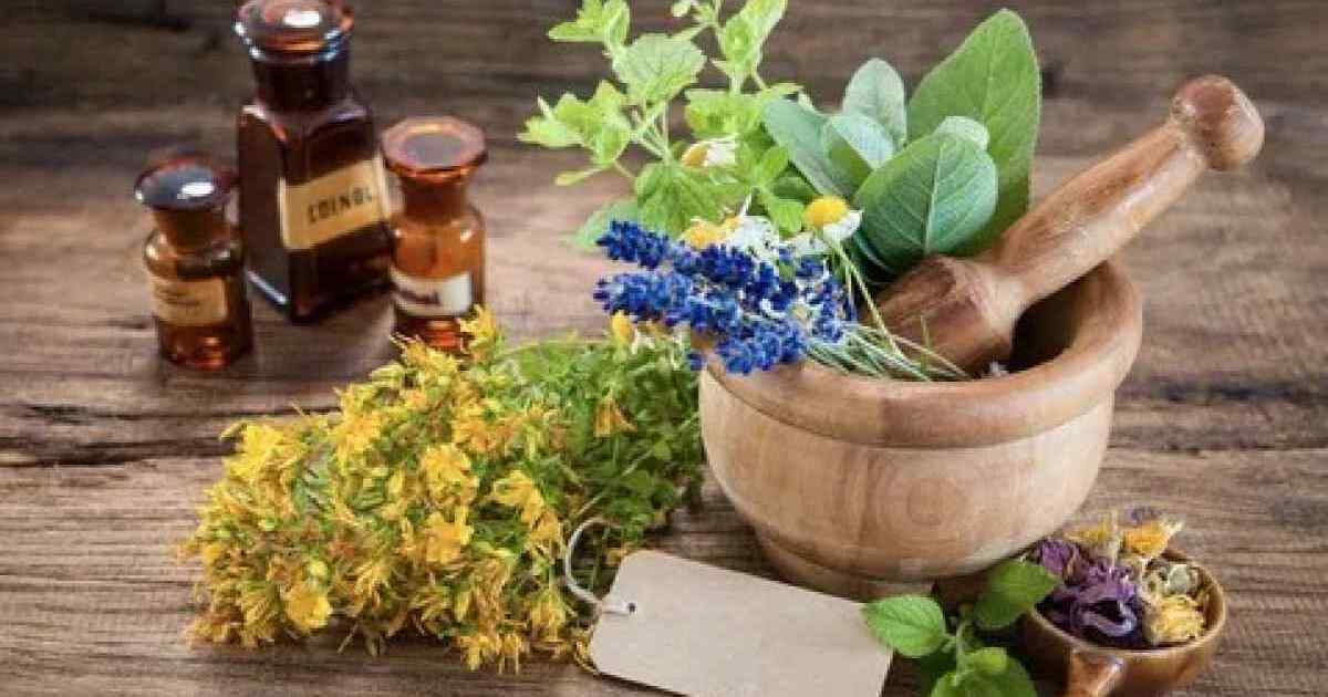 Лікарські форми. Настоянки (Tincturae). Настої та відвари (Іnfusa et ...