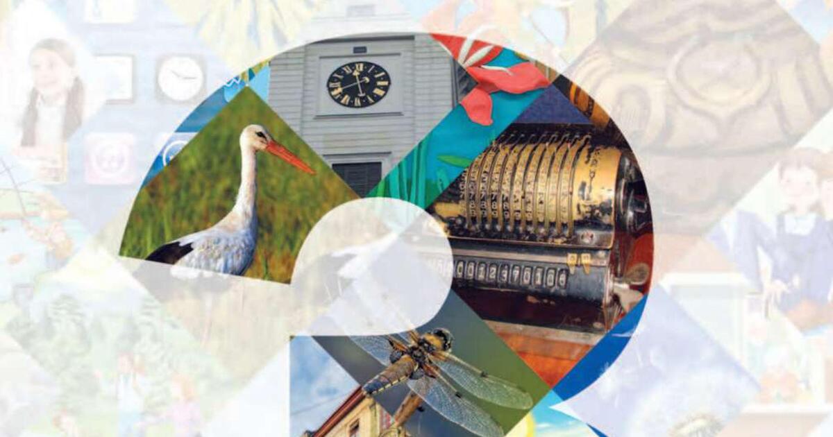 Діагностувальна робота з ЯДС № 1 | Тест. Я досліджую світ