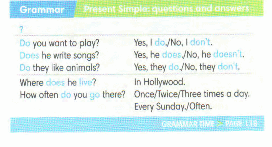 Grammar. present Simple: questions and answers. | Урок на 5 завдань ...