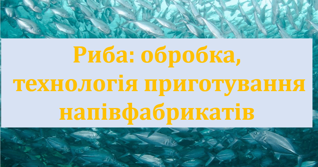 Презентація "Риба: обробка, технологія приготування напівфабрикатів ...