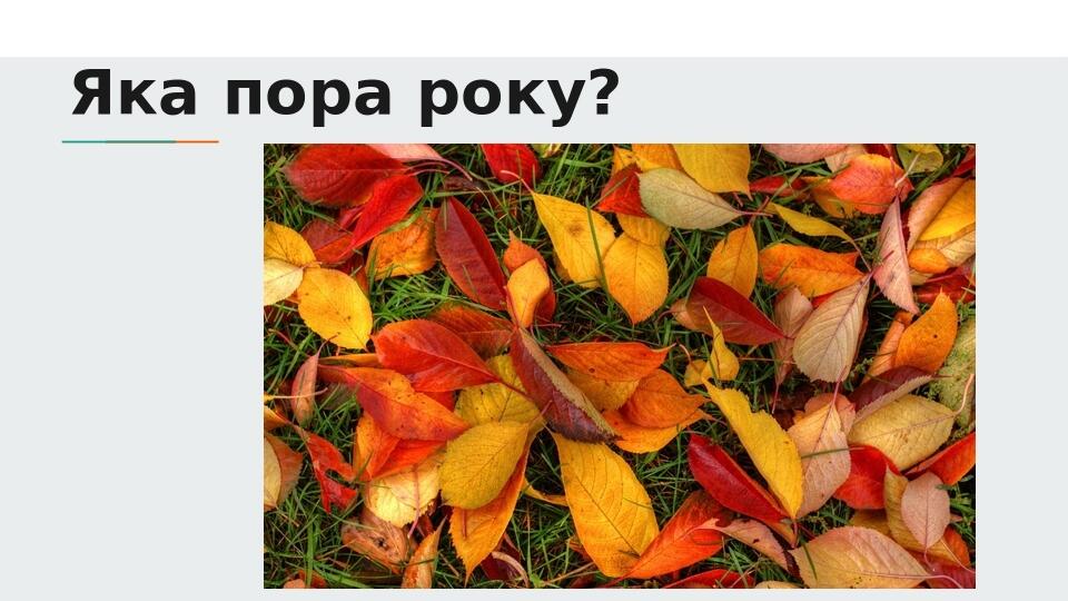 Презентація на тему Пори року Презентація Логопед