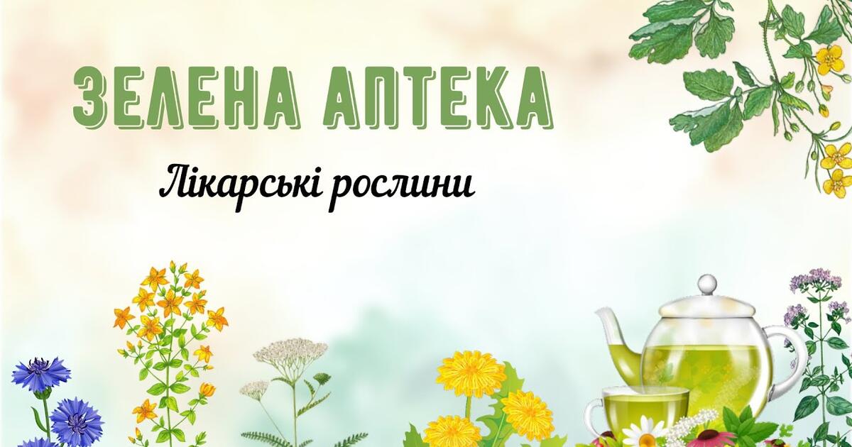Лікарські рослини. Зелена аптека. | Вебквест. Біологія