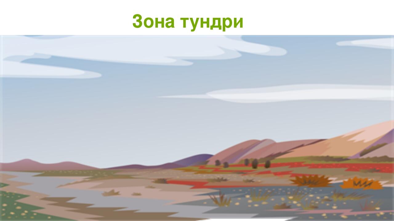 Презентація на тему Природні зони Землі 4 клас Презентація Я