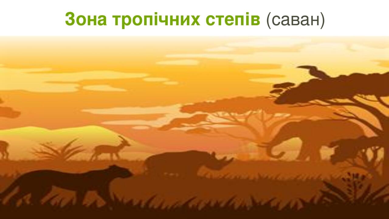 Презентація на тему Природні зони Землі 4 клас Презентація Я