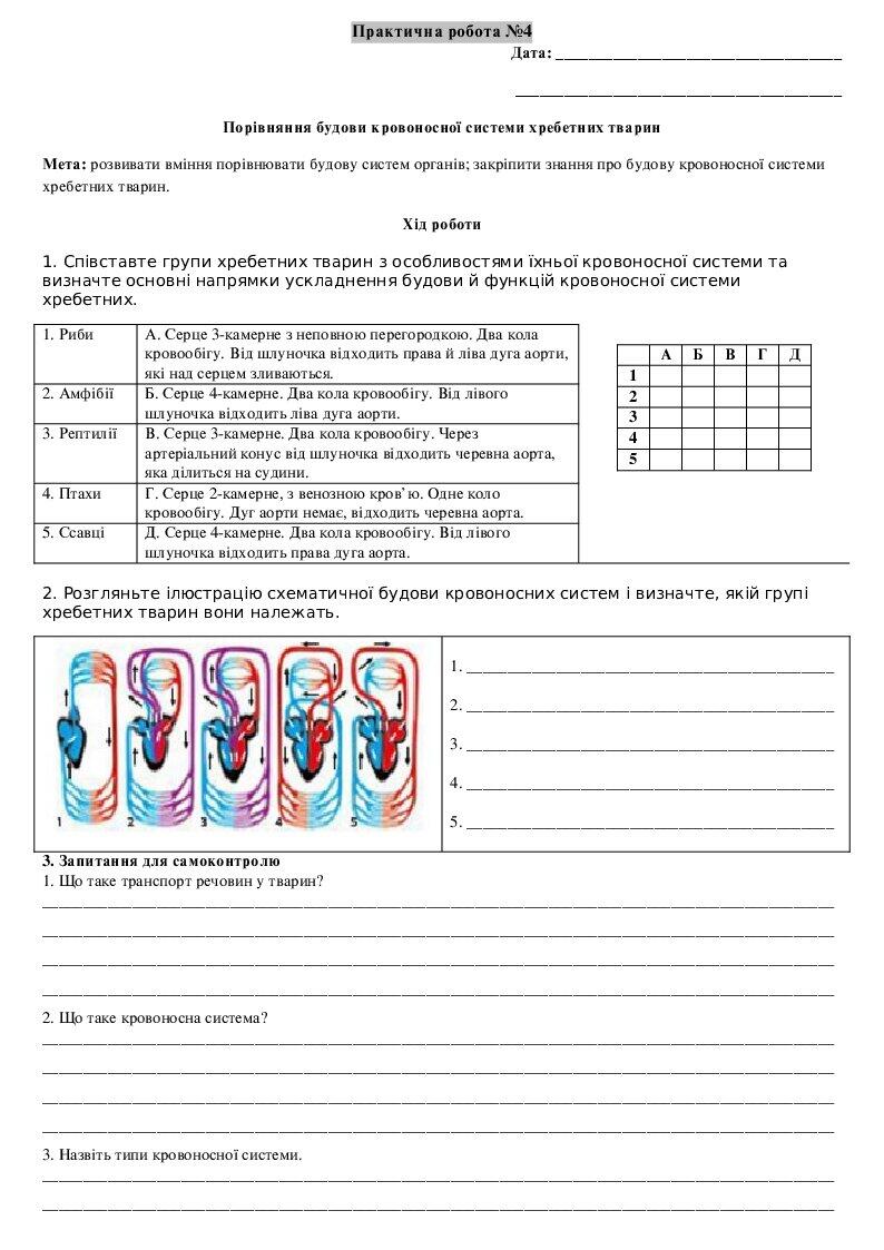 Практична робота №4 Порівняння будови кровоносної системи хребетних тварин Біологія