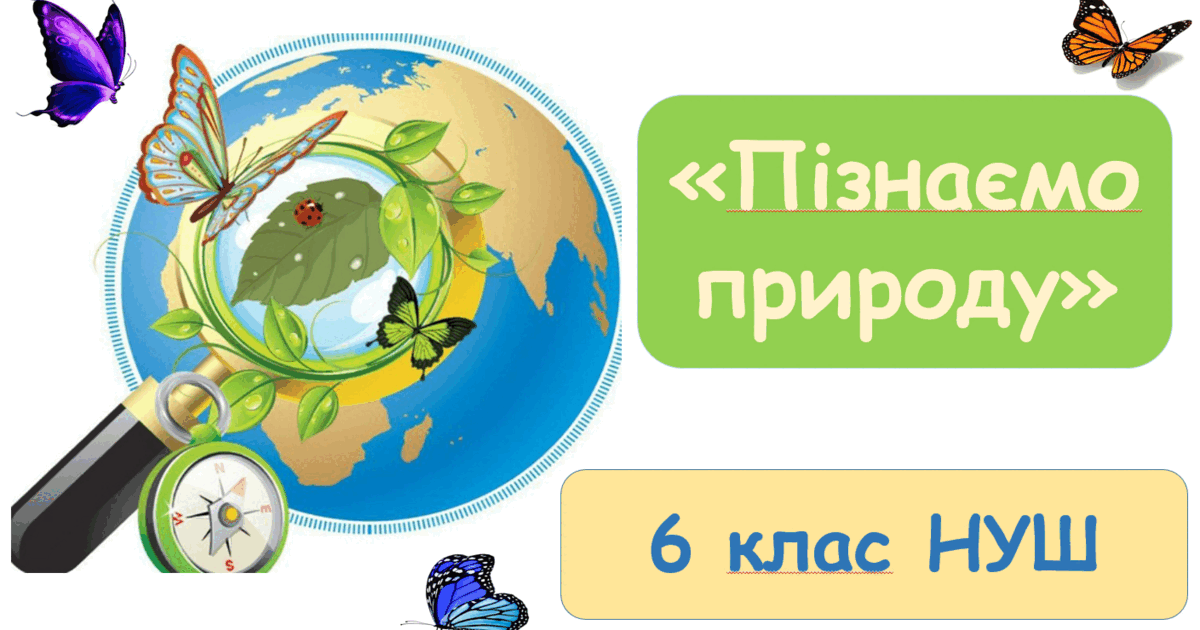 Контрольна діагностична робота 1. Узагальнення матеріалу "Пізнаємо ...