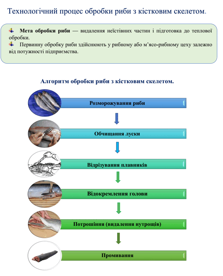 Технологічний процес обробки риби з кістковим скелетом | Урок на 1 ...