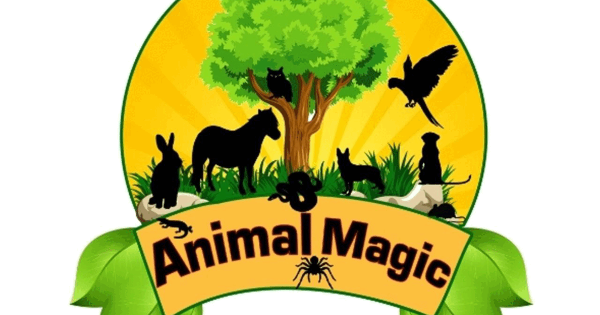 TEST "Unit 3. Animal Magic" (Wider World 2) | Тест на 4 запитання ...