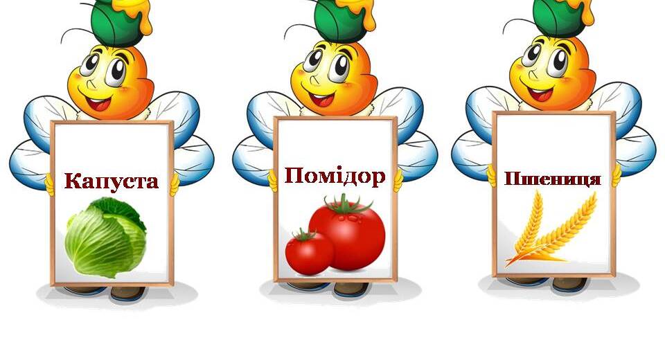 Набір табличок для оформлення городу у ЗДО | Інші методичні матеріали ...