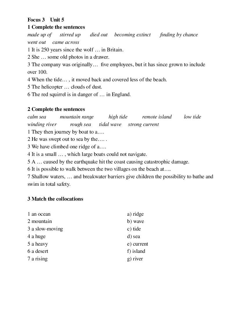 Дидактичний матеріал "Focus 3 Unit 5 Vocabulary" | Інші методичні ...