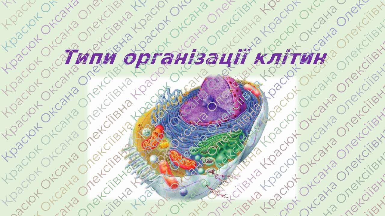 Типи організації клітин (7 клас) | Презентація. Біологія
